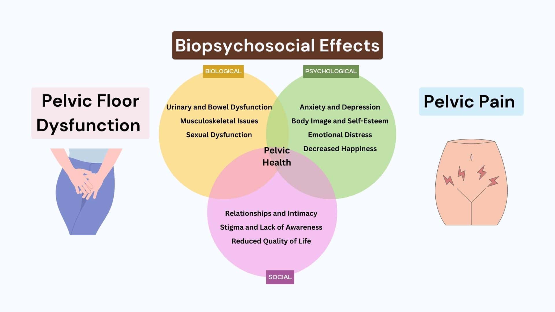 The Hidden Biopsychosocial Effects Of Pelvic Floor Dysfunction And Pelvic Pain