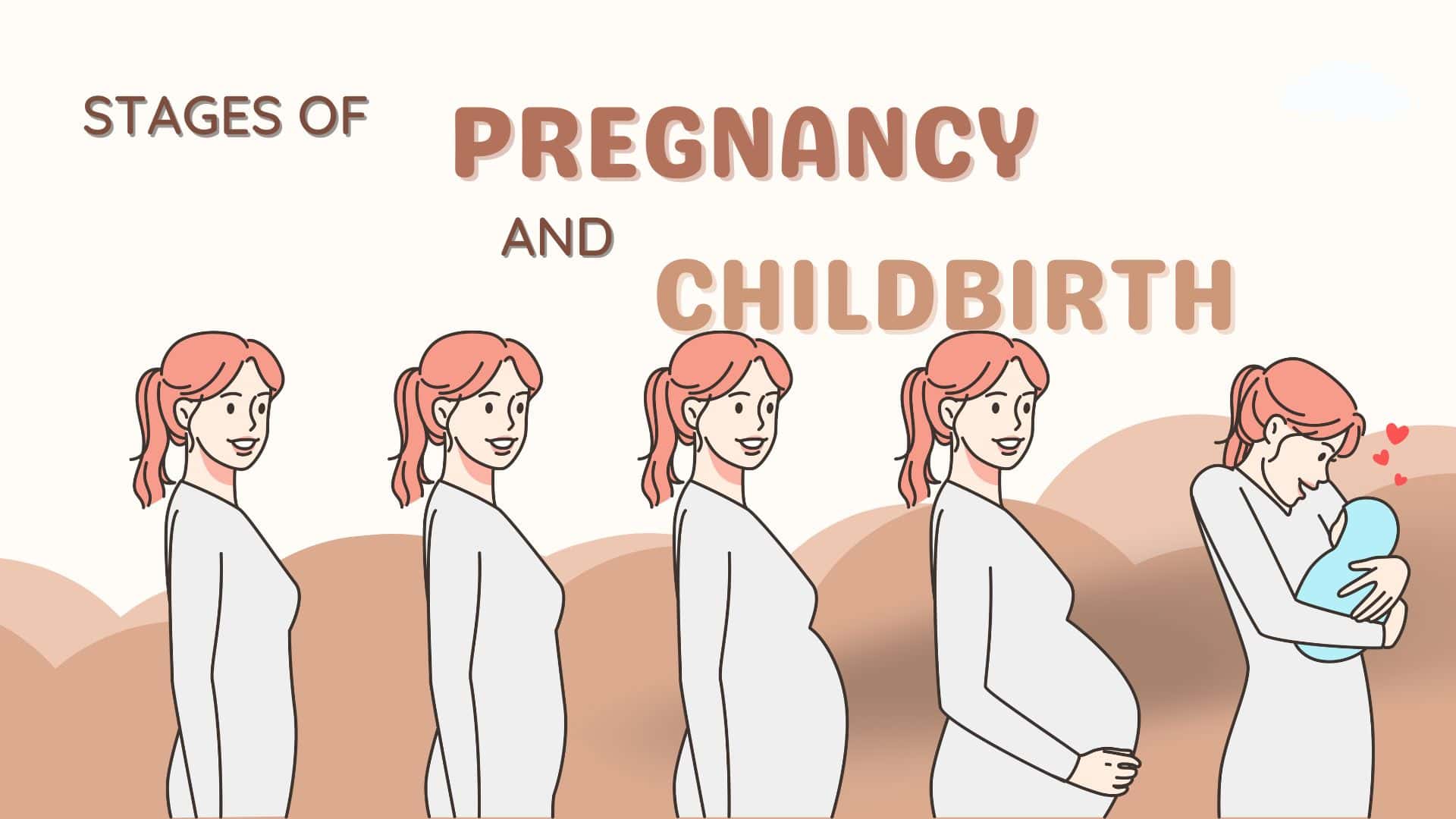 From Bump To Baby: Pelvic Floor Health For Pregnancy, Childbirth And ...